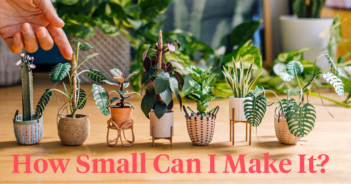 The Tiny Big Paper House Plants by Artist Raya Sader Bujana