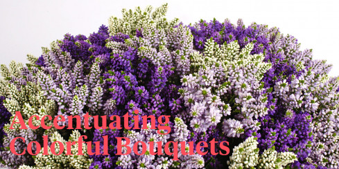 Shower Your Floral Art With the Veronica Sprayed Aqua Series
