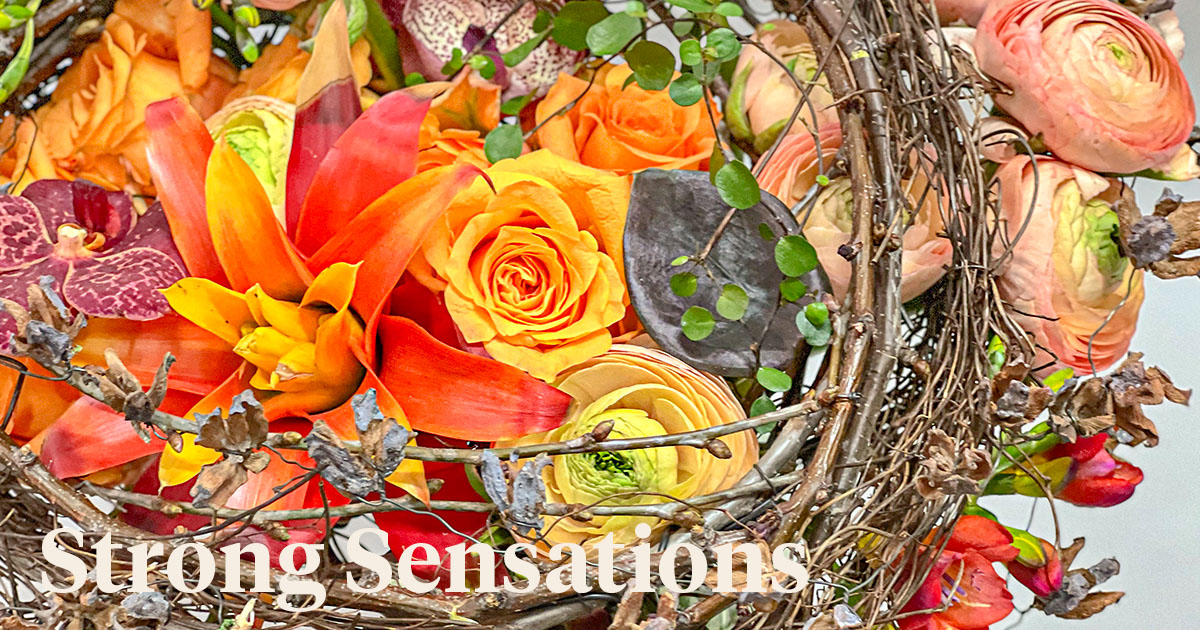 Rose Malaga Reactions From Top Floral Designers