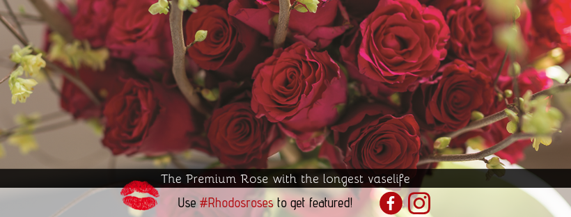 Which Red Roses Do YOU Choose for Valentine's Day? - Thursd