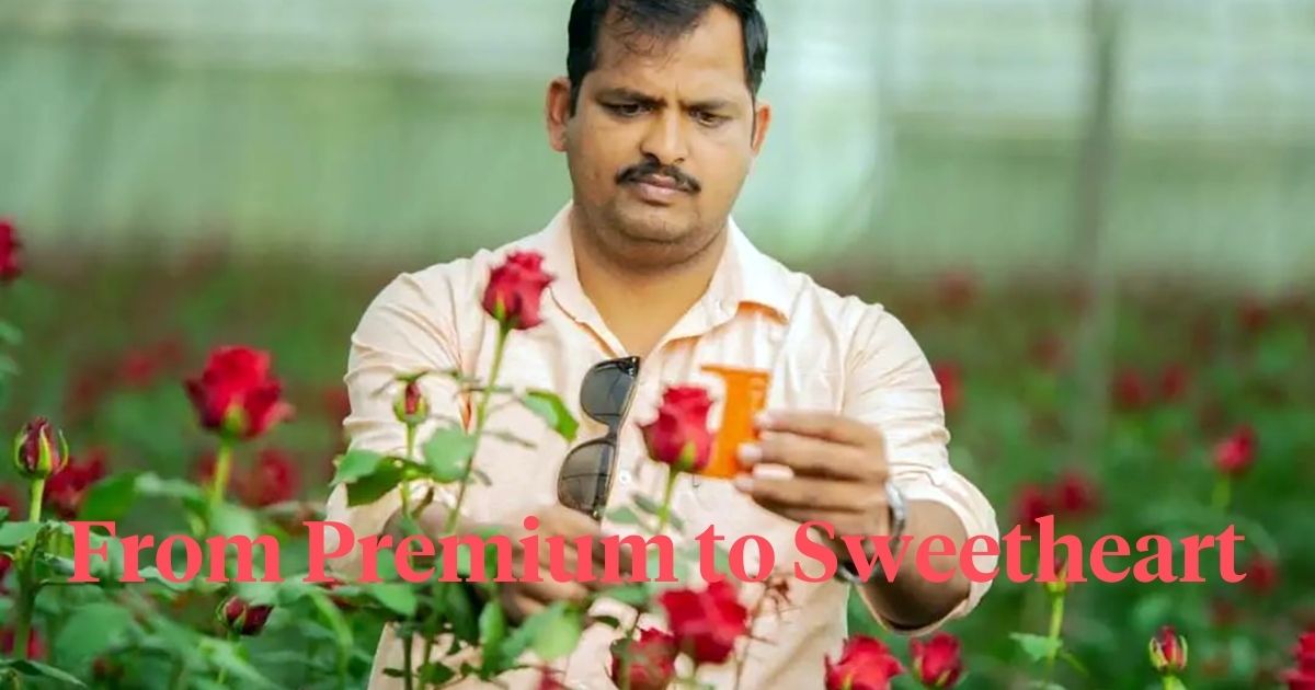 Understanding Rose Size with Flower Chart for Different Roses