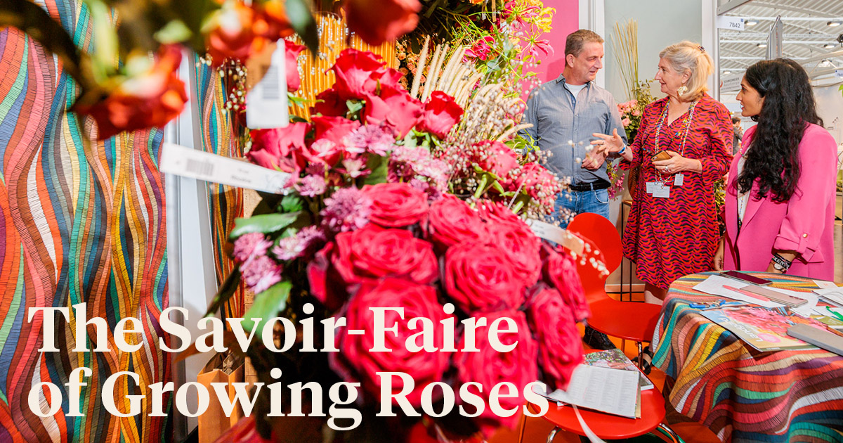 Socially Conscious Haute Couture Roses From Red Lands Roses