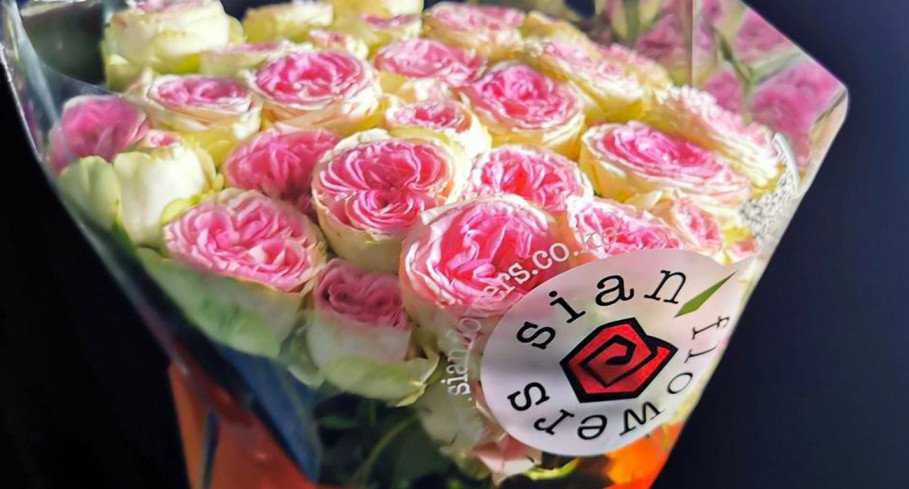 Sian Flowers - Grower featured on Thursd