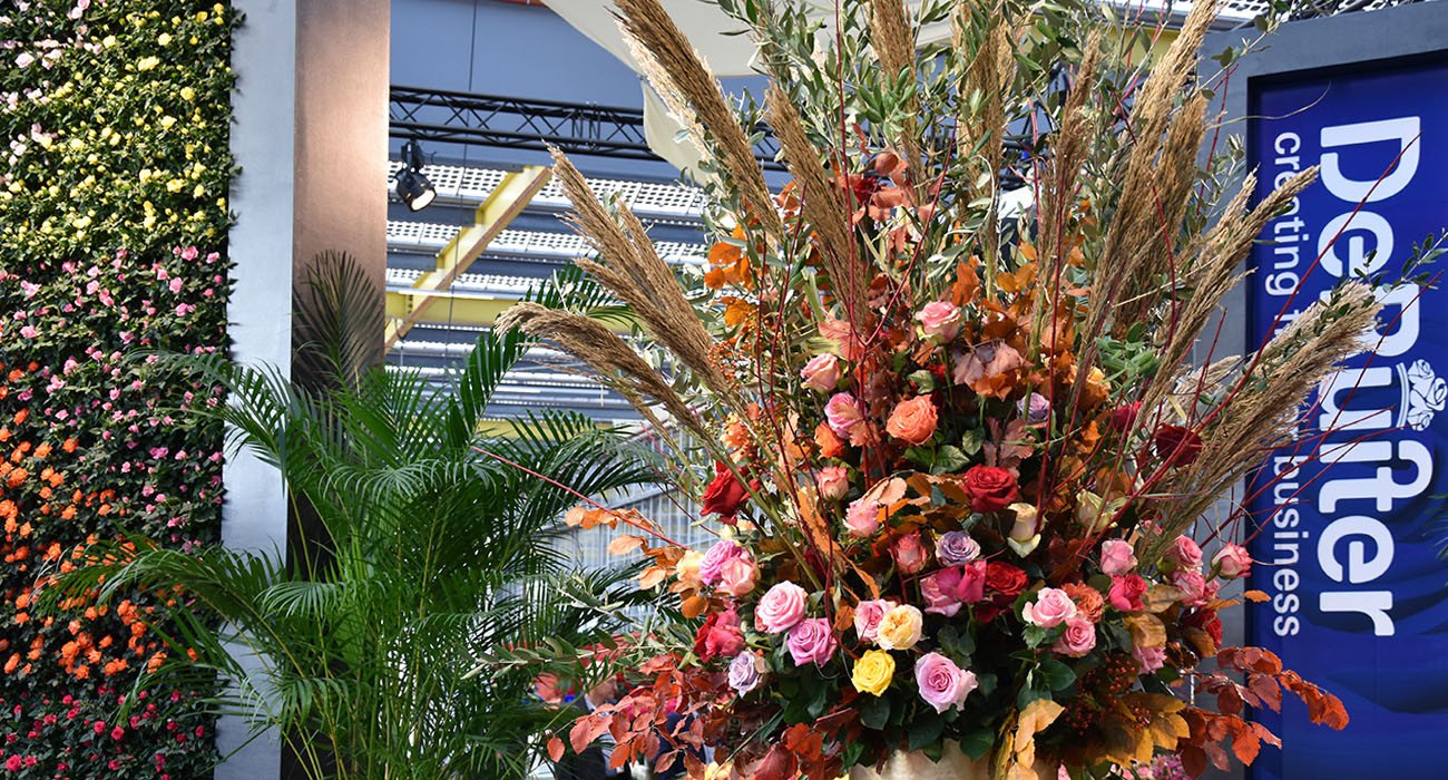 De Ruiter - Breeder featured on Thursd