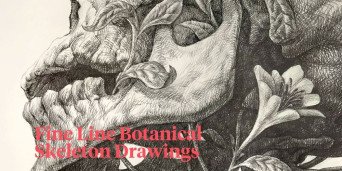 Guno Park’s Botanical Skeleton Explores Life & Mortality