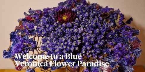 Veronica Smart Series Inspires Vibrant Floral Magic