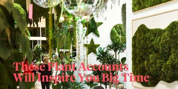 Insta Inspiration: 10 Must-Follow Instagram Plant Accounts