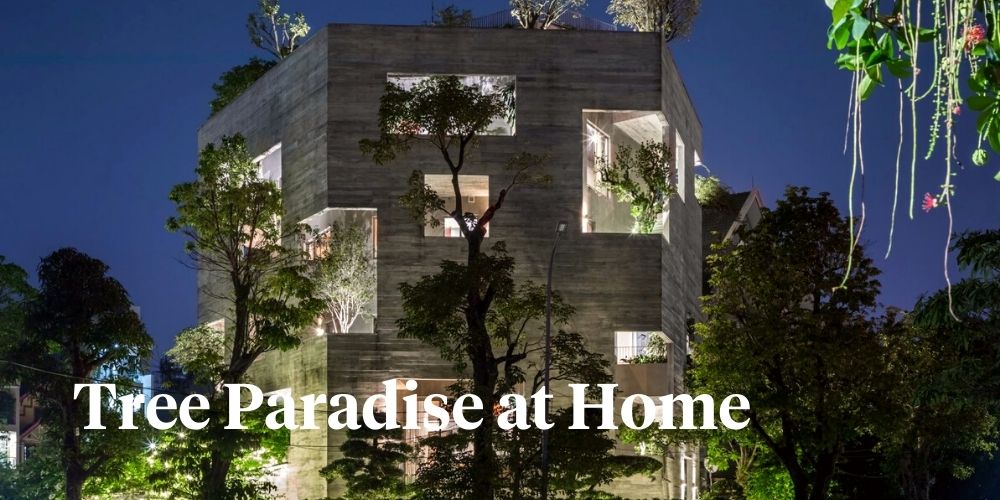 Vietnam’s Tree-Filled Ha Long Villa Blends Nature