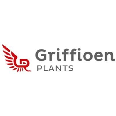 Griffioen Plants - Thursd