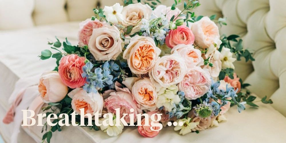 Alexandra Farms Reveals 2022 Garden Rose Winners