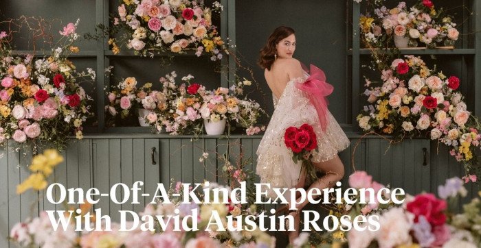 Award-Winning Event Decor with David Austin Roses