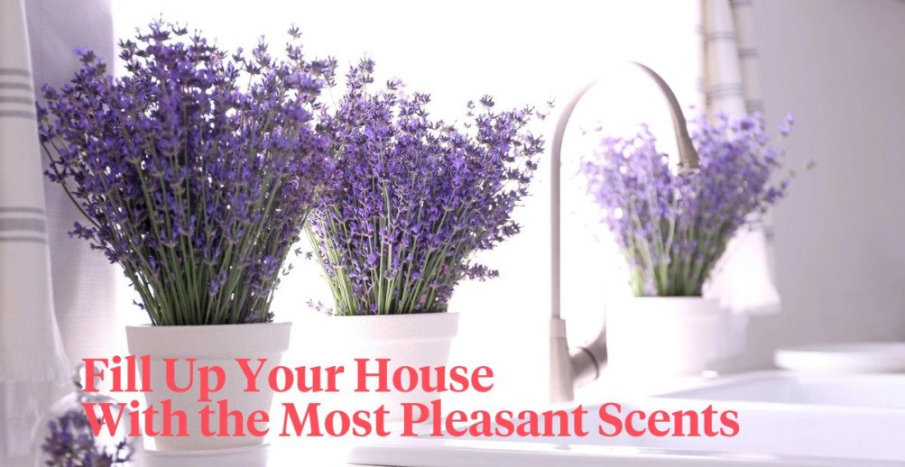8 Fragrant Indoor Plants to Make Your Home Smell Good