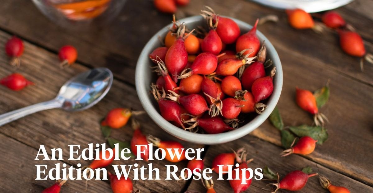 The 411 on Rose Hips- What Are They and How Are They Used?