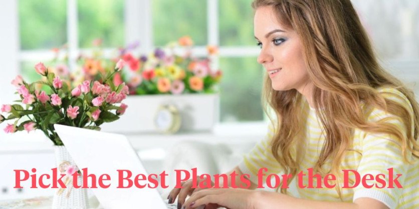 Spring Study Space Decor Ideas Using Flowers and Plants