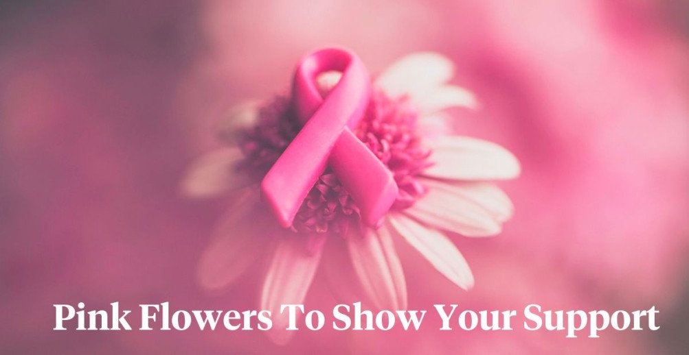 5 Pink Flowers That Support Breast Cancer Awareness Month - Article on ...