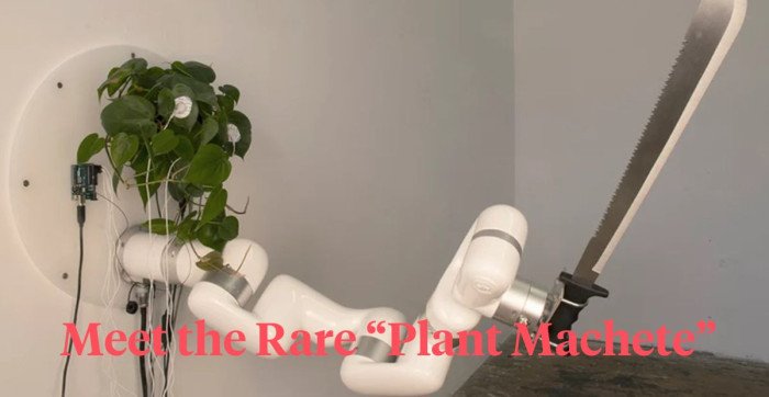 David Bowen's "Plant Machete" Controlled via Robotic Arm