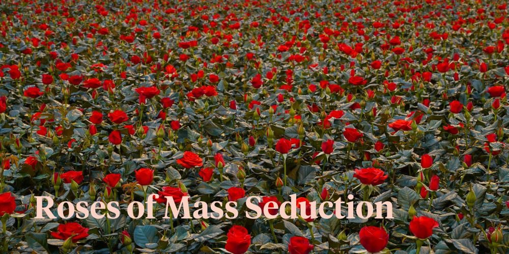 The World of Pot Roses