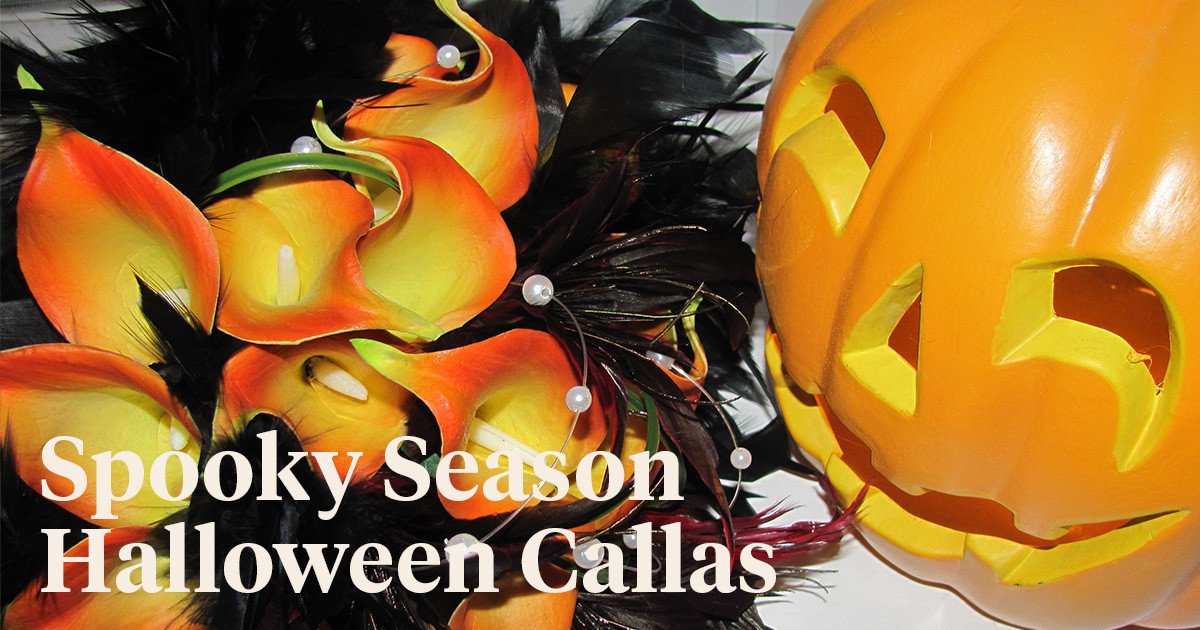 Celebrate Your Colorful Halloween Using Beautiful Callas