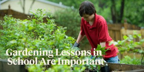 The Importance of Gardening Lessons in the School Curriculum