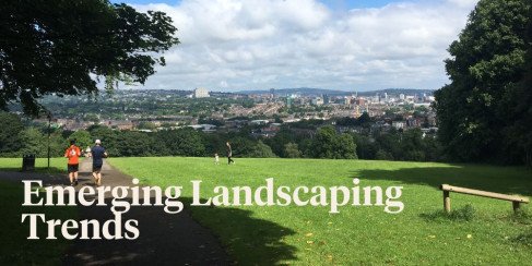 7 Modern Landscape Architecture Trends All Students Should Know