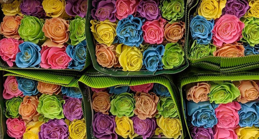 Vimass - Trader featured on Thursd