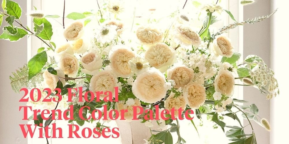 Perfect Floral Trend Color Palette 2023 Using David Austin Roses