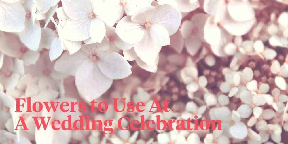 Wedding Flower Guide Best Blooms for Bridal Decor