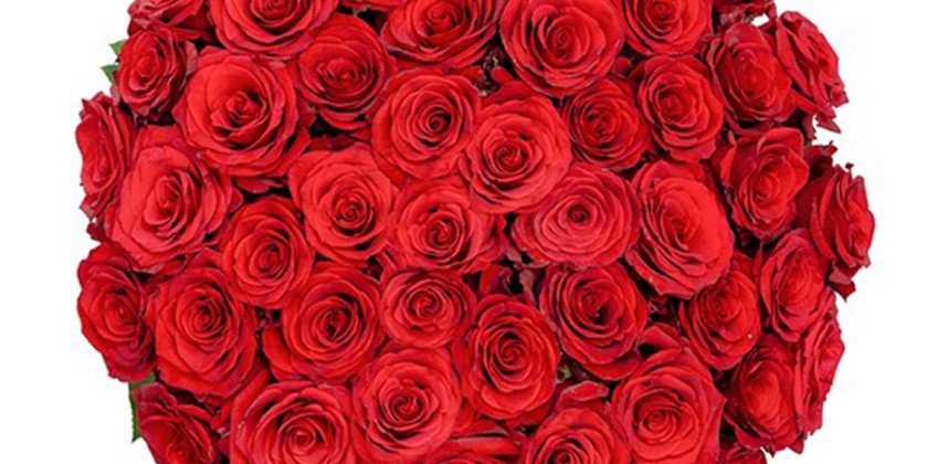 Rose Nina | Product Featured on Thursd.com