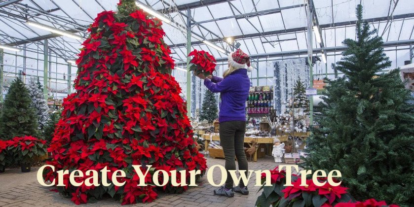 How to Build a Beautiful Poinsettia Christmas Tree