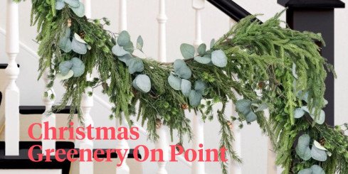 8 Types of Fresh Christmas Greenery for Holiday Decor
