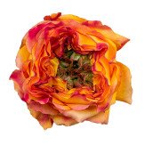 Rose Green Island Samoa - Product on Thursd