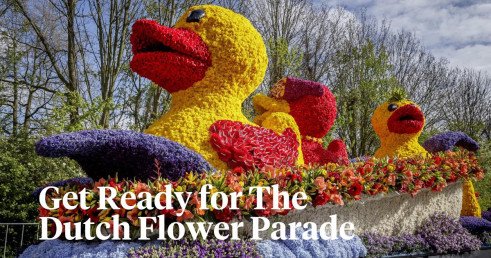 The Dutch Flower Parade Is Coming Soon