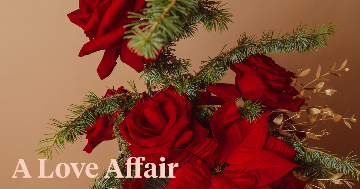 A Love Letter to the Red Bentley Rose