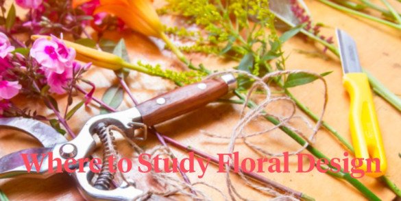 Floral Design Schools in the U.S.