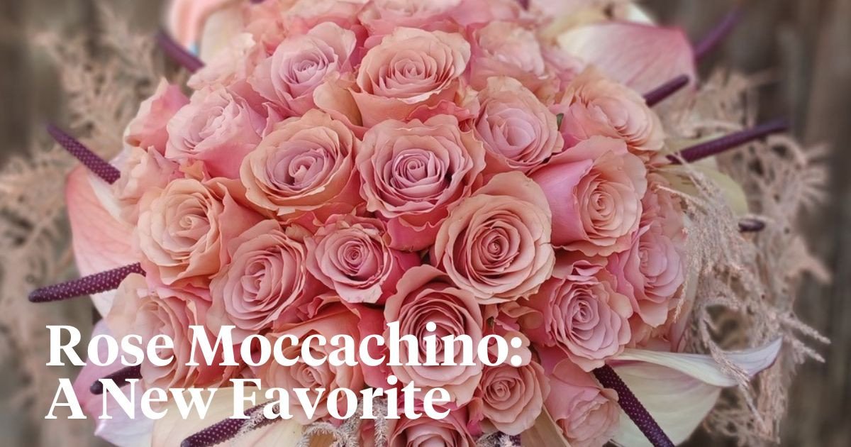 Rose Moccachino Is Loved by Renowned Florists