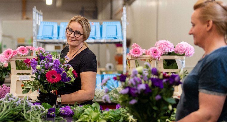 Celdomy - Trader featured on Thursd