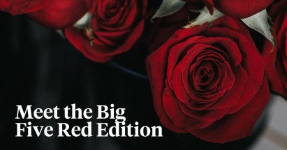 Big Five Red Rose Edition Varieties From De Ruiter
