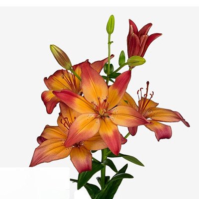 Products Archive - Thursd - Thursd