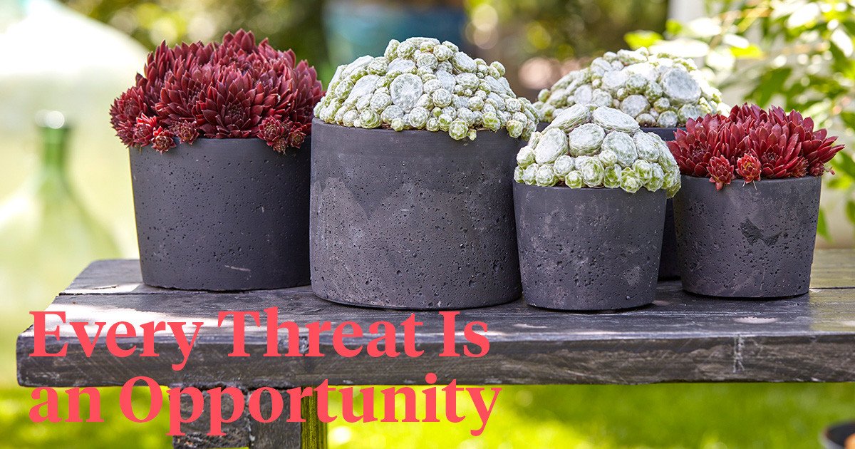 Benefiting Growers and Consumers with Energy Saving Plants