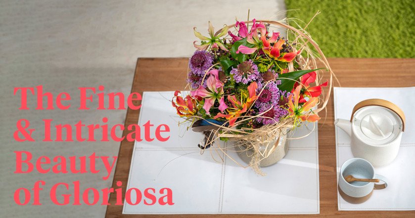 Get Enchanted by Gloriosa Superba Simba Fifty Shades