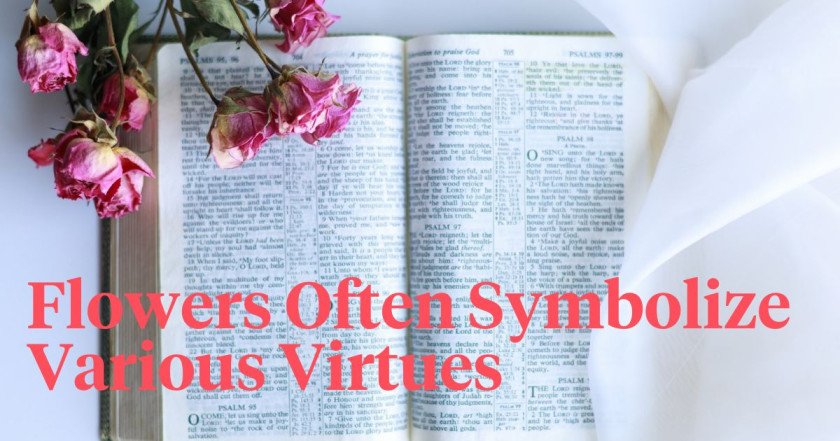 Flowers in the Bible: 10 Significant Varieties and Their Meanings