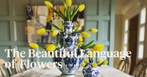 Types of Yellow Flowers and Their Meanings - Article onThursd