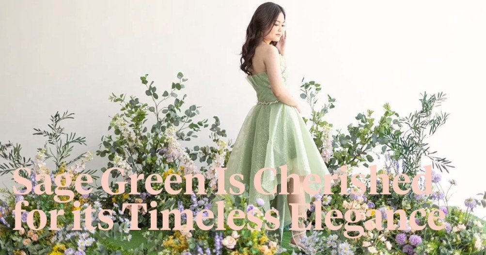 Balance and Renewal Defined in form of Sage Color Meaning