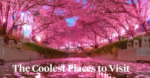 Experience Japan’s Sakura Trees in Full Bloom in 2025