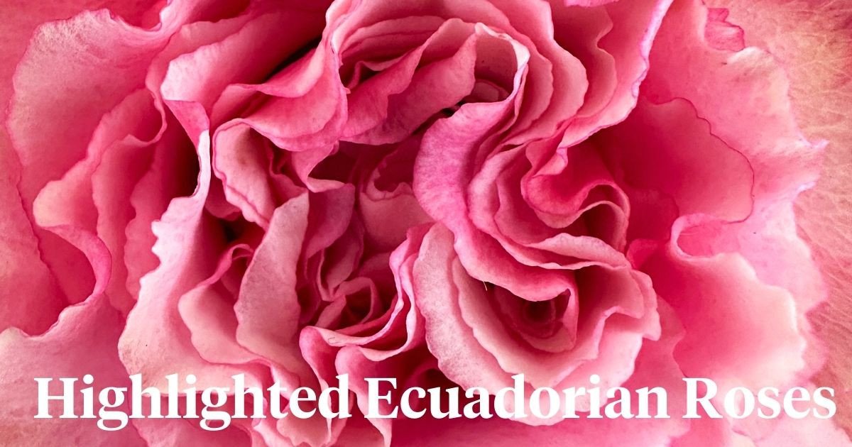 Check Out EQR’s Product Spotlights of the Week