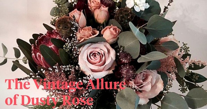 Discover Dusty Rose Flowers and Their Timeless Meaning