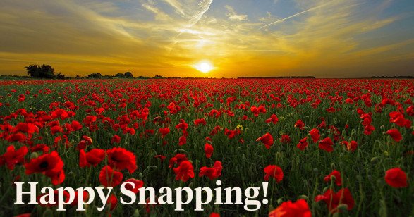 Capture Earth's Wonders - Celebrate Nature Photography Day!