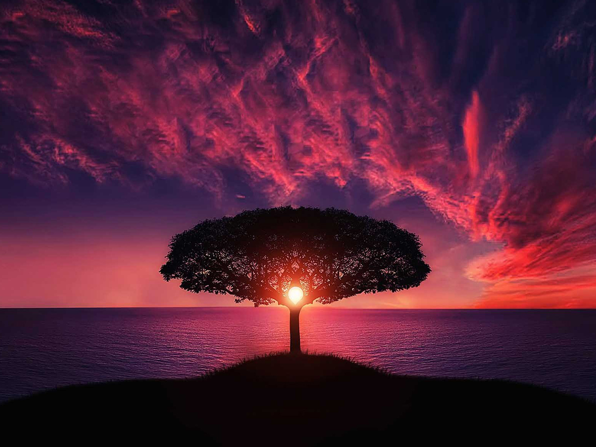 Capture Earth's Wonders - Celebrate Nature Photography Day! Capture Earth's Wonders - Celebrate Nature Photography Day!