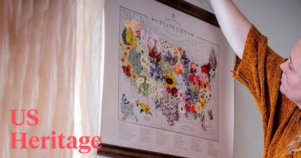 Complete Guide to All 50 US State Flower and Meaning