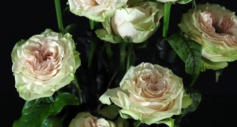 Rose Country Secret | Product Featured on Thursd.com